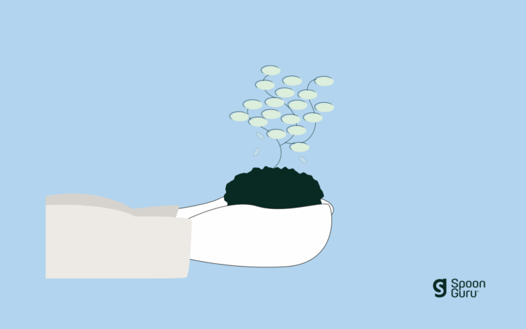 How climate change will affect nutrition - Spoon Guru